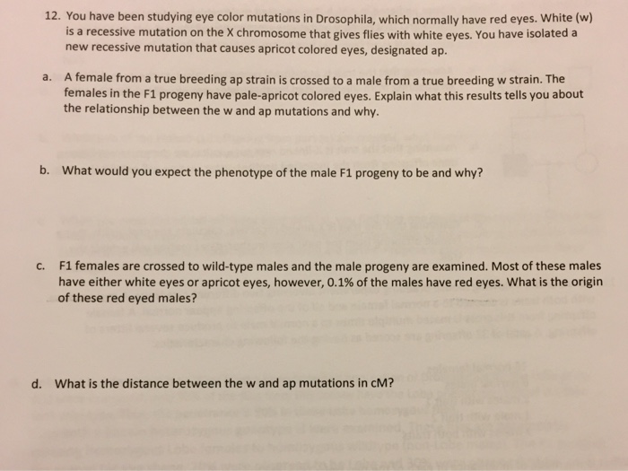 Solved 12. You have been studying eye color mutations in | Chegg.com