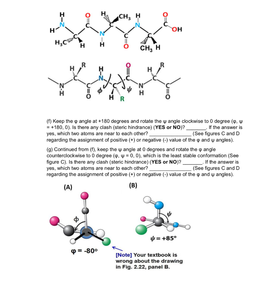 (D) 2003 Thomson. W orth Amide plane --Carton Side | Chegg.com