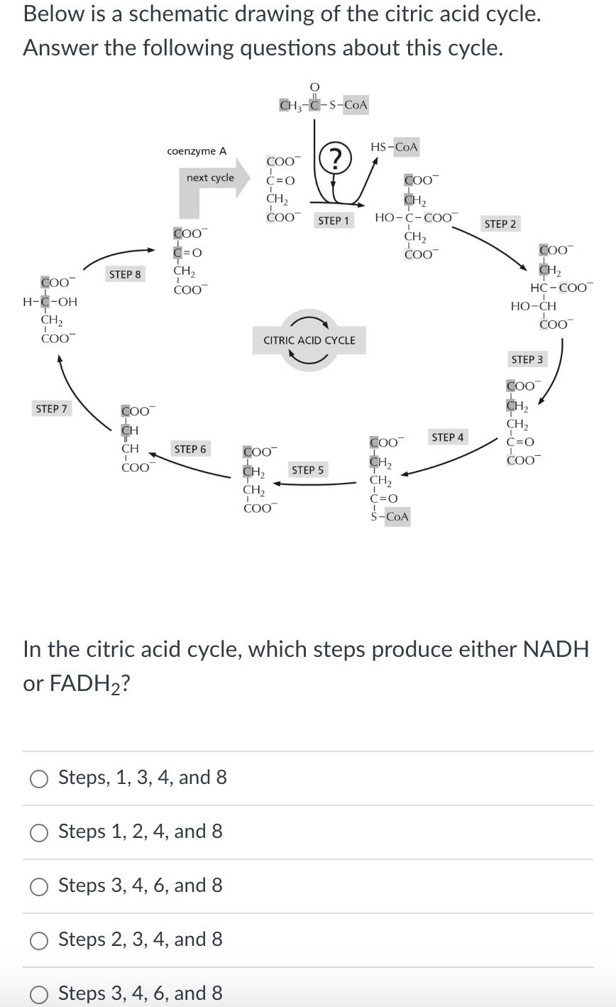 Solved Below is a schematic drawing of the citric acid | Chegg.com