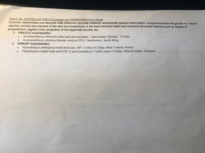 Examine, sketch?abel and describe ONE GRACILE and ONE | Chegg.com