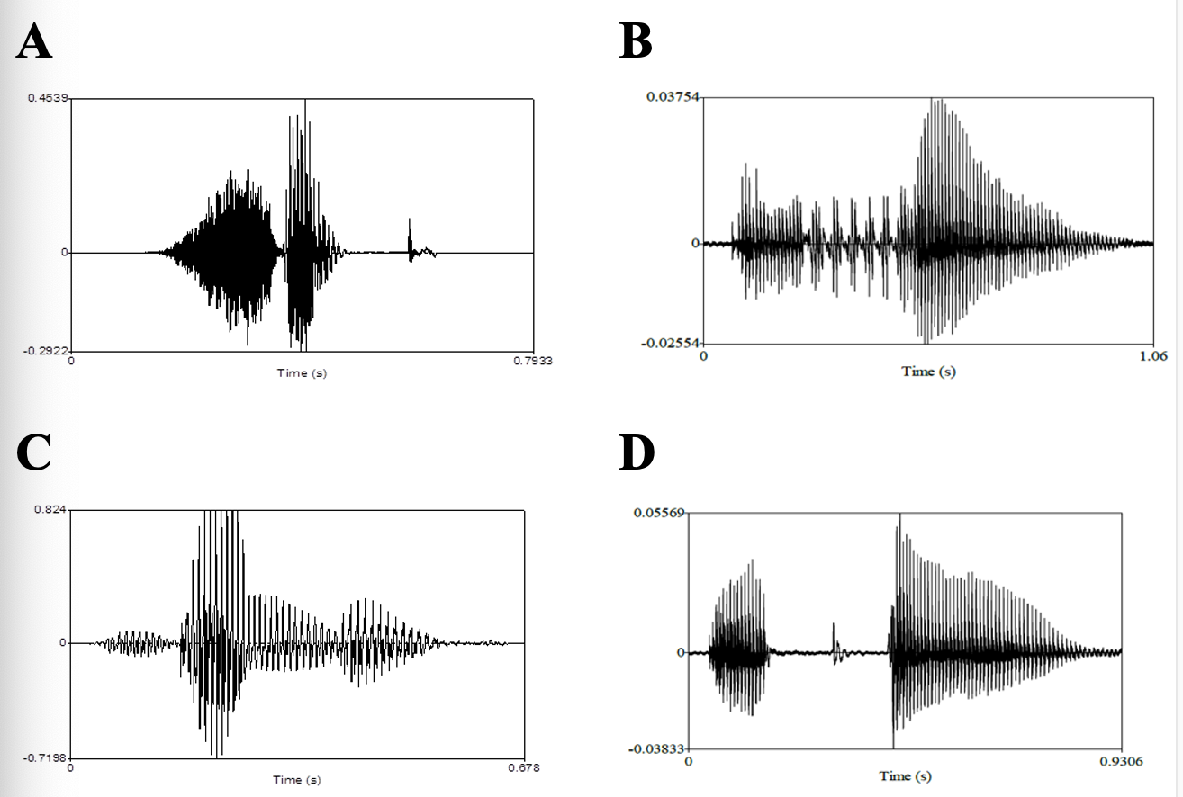 Solved *Phonetics and Phonology Question* 2) Which of the | Chegg.com