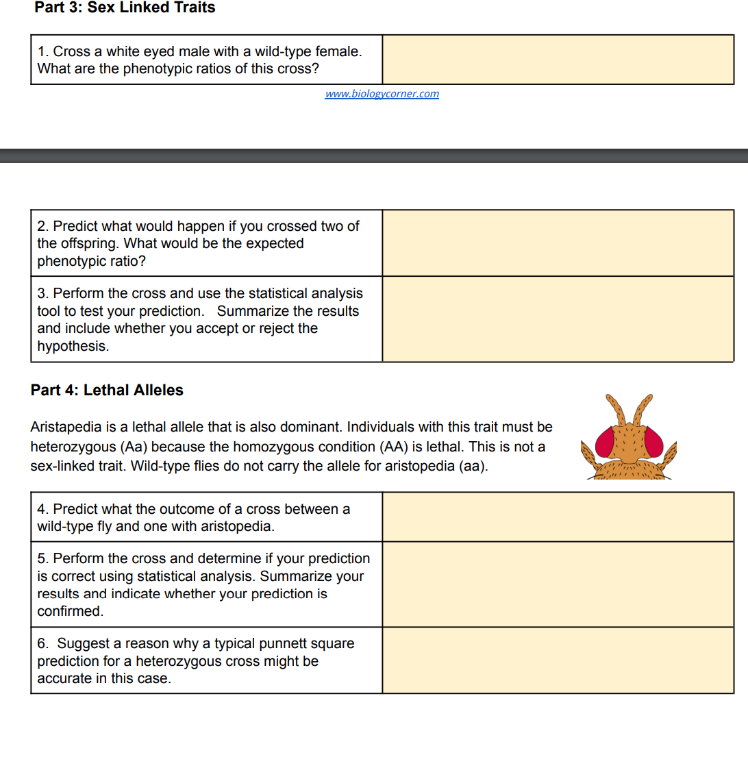 Solved Part 4: Lethal Alleles Aristapedia is a lethal allele | Chegg.com