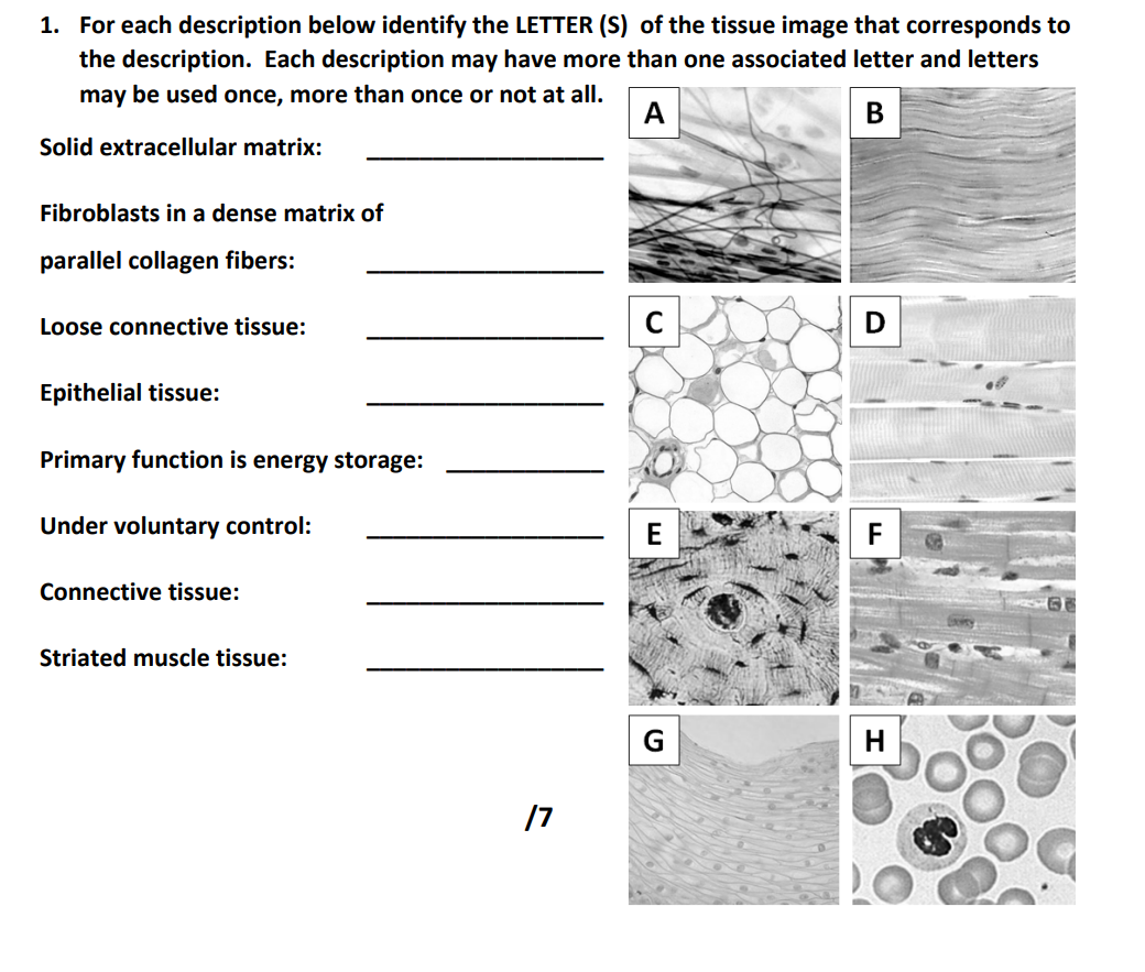 Solved For each description below identify the LETTER (S) | Chegg.com