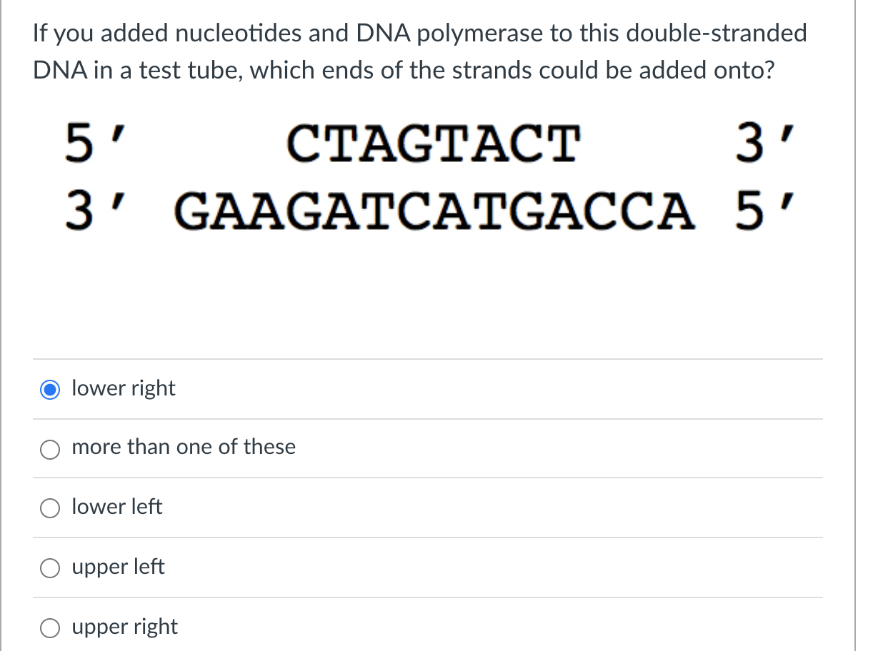 Solved If you added nucleotides and DNA polymerase to this | Chegg.com