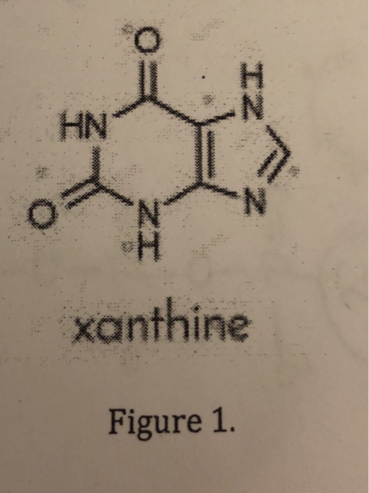 Solved The structure of the purine base xanthine is shown | Chegg.com