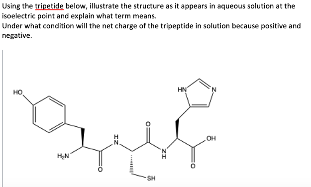 Solved Using the tripetide below, illustrate the structure | Chegg.com