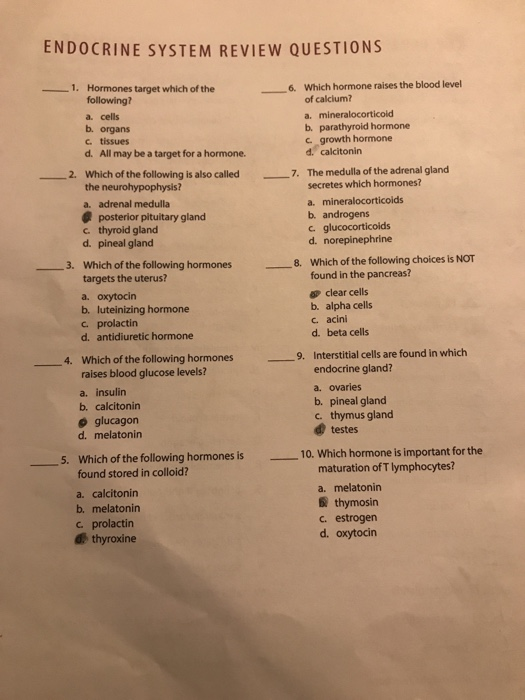 Solved ENDOCRINE SYSTEM REVIEW QUESTIONS Which hormone | Chegg.com