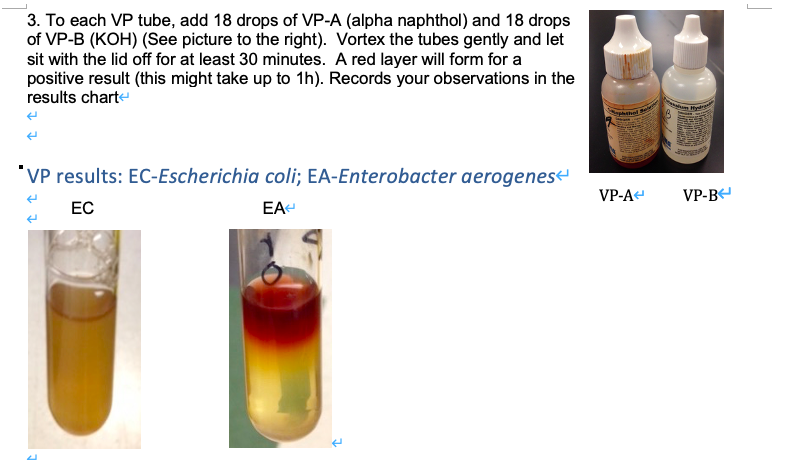 Solved 'Citrate results: E. aerogenes E. coli eh 2. Add | Chegg.com