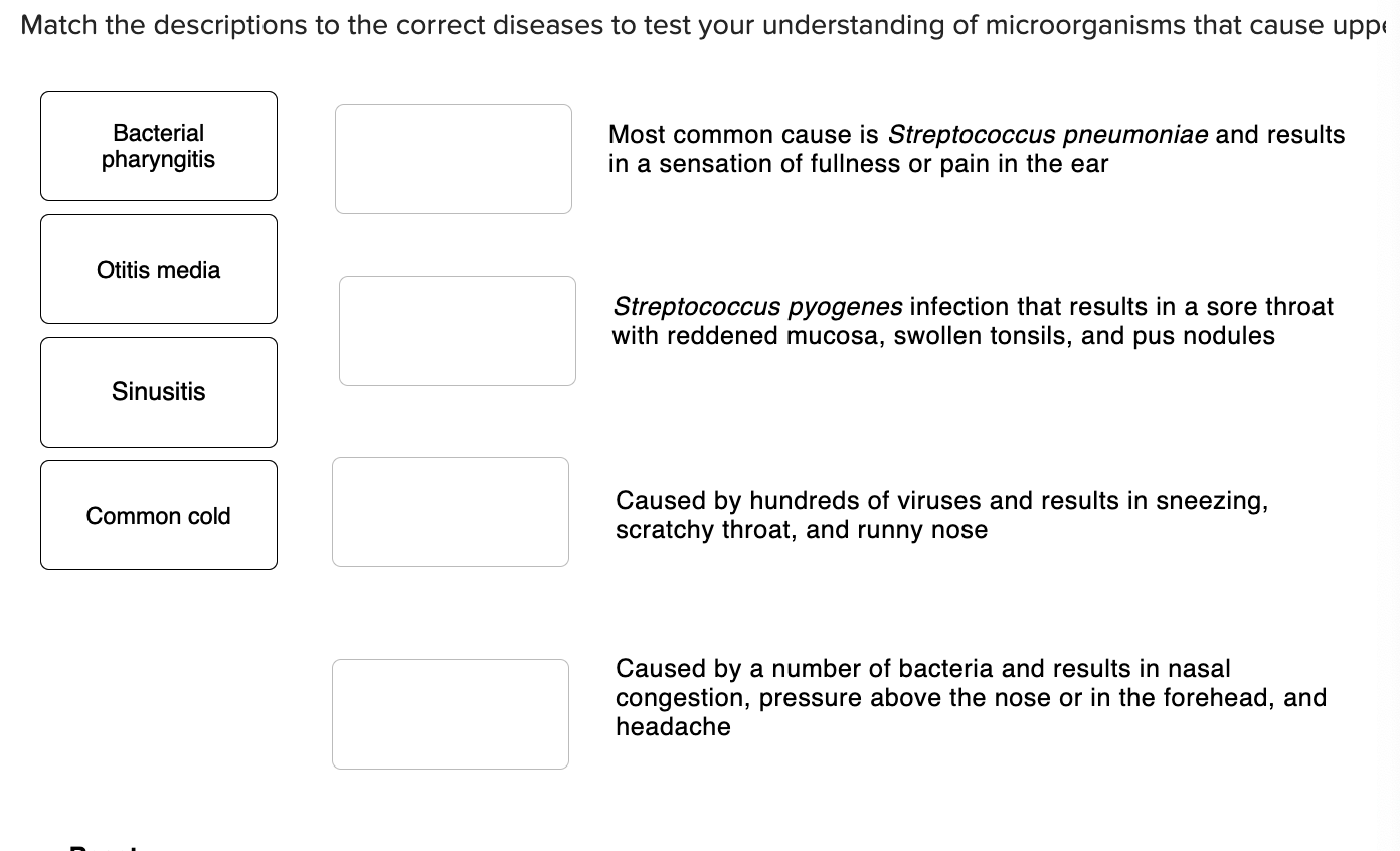 High Quality SOLUTION Match the descriptions to the correct diseases to | Chegg.com