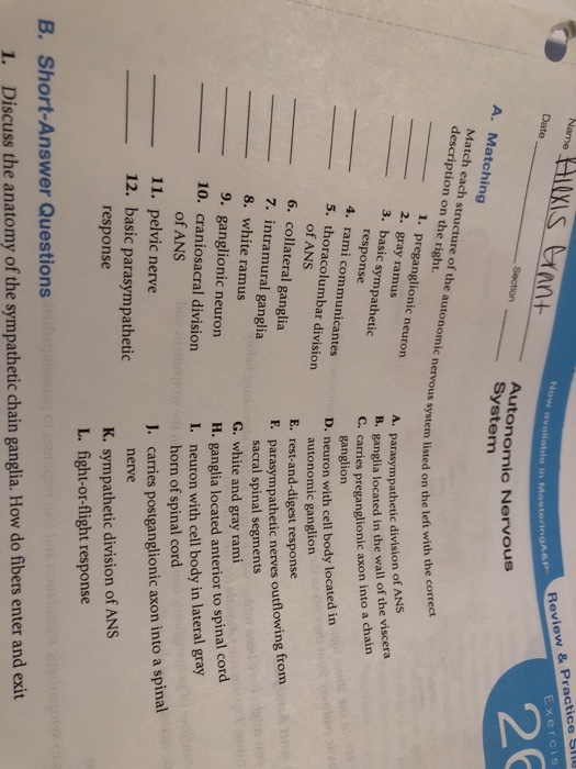 Solved Name 10X Review & Practice S Exercis rant Now 26 Date | Chegg.com