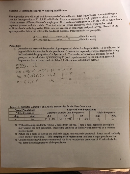Solved Testing the Hardy Weinberg equilibrium using colored | Chegg.com