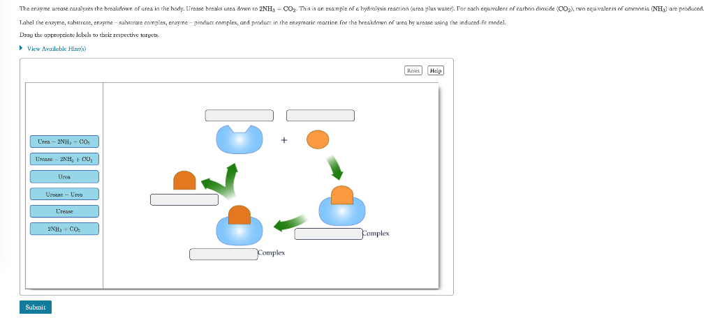Solved The name arease catalyzes the breakdown of urea in | Chegg.com