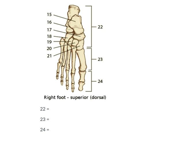 Solved In this lab assignment, we will identify the major | Chegg.com