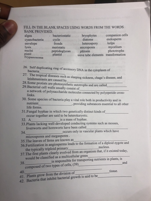 Solved FILL IN THE BLANK SPACES USING WORDS FROM THE WORDS | Chegg.com