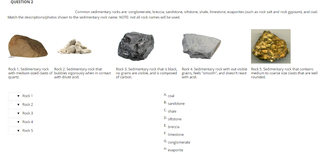 Solved QUESTION 1 Common igneous rocks are: basalt, gabbro, | Chegg.com