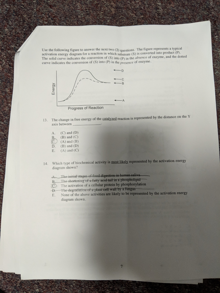 Solved Use the following figure to answer the next two (2) | Chegg.com