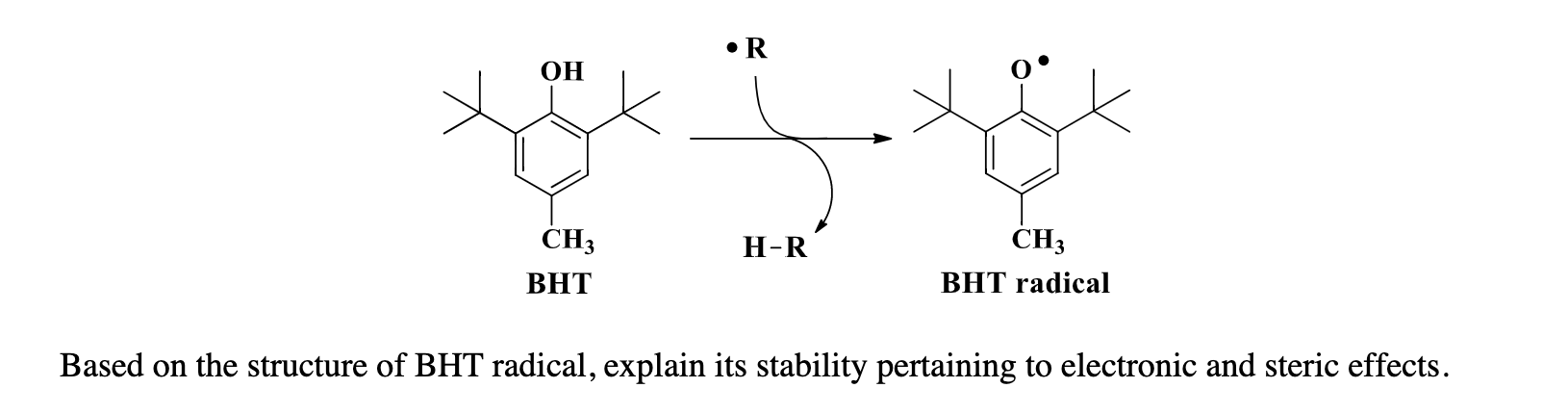 Solved • R OH H-R CH3 BHT CH3 BHT radical Based on the | Chegg.com