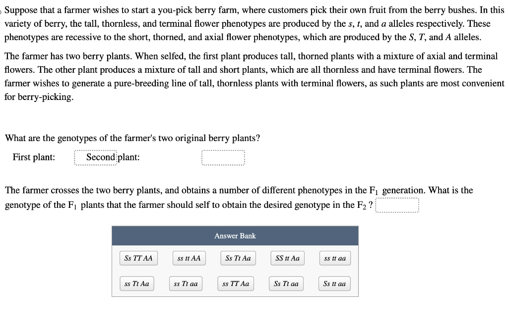 Solved Can someone help me understand | Chegg.com