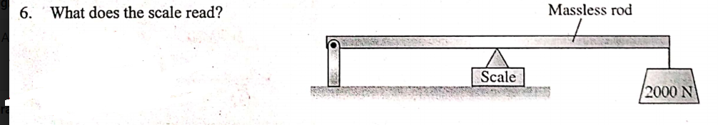 Solved Massless rod 6. What does the scale read? Scale 2000 | Chegg.com