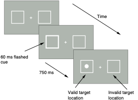 (150 words answer please!!!) The figure shows the | Chegg.com