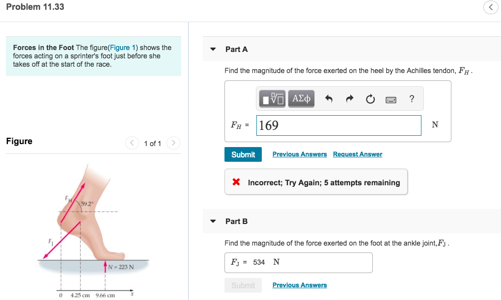 Solved Problem 11.33 Forces in the Foot The figure(Figure 1) | Chegg.com