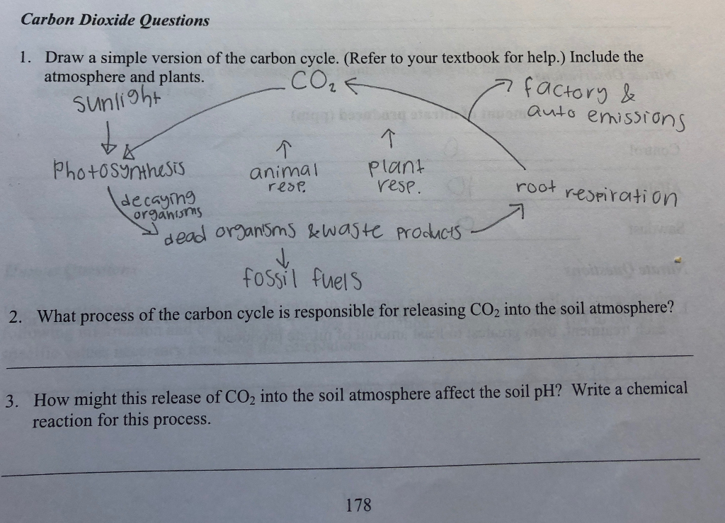 Solved Carbon Dioxide Questions 1. Draw a simple version of | Chegg.com