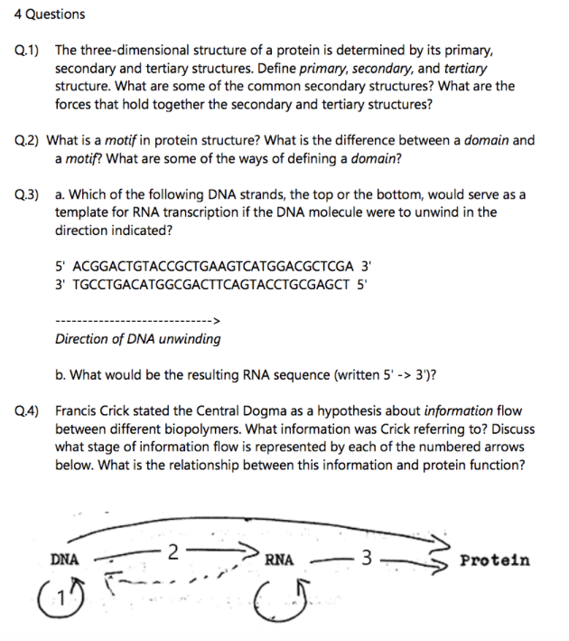 Solved 4 Questions Q.1) The three-dimensional structure of a | Chegg.com