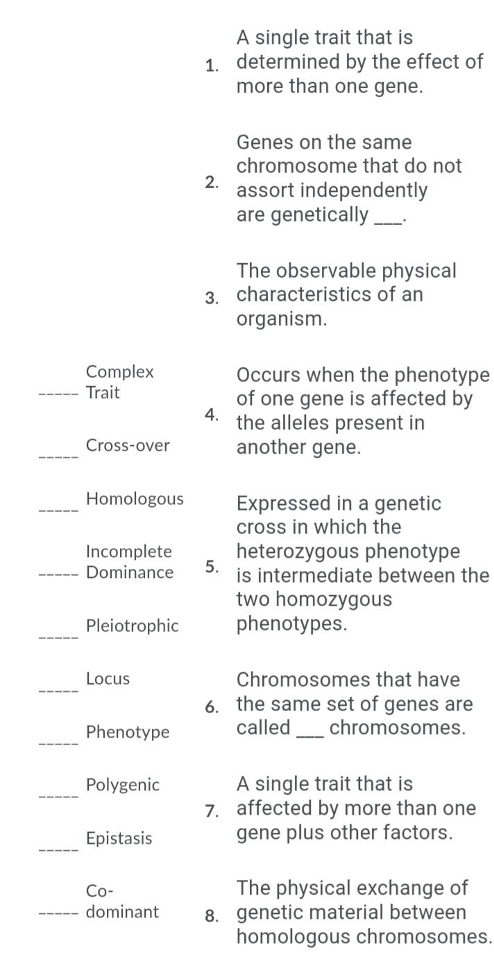 Solved A single trait that is 1. determined by the effect of | Chegg.com