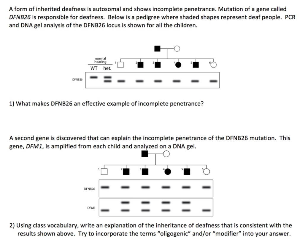 Solved A form of inherited deafness is autosomal and shows | Chegg.com