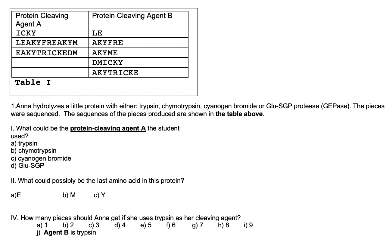 Solved Protein Cleaving Agent B Protein Cleaving Agent A | Chegg.com