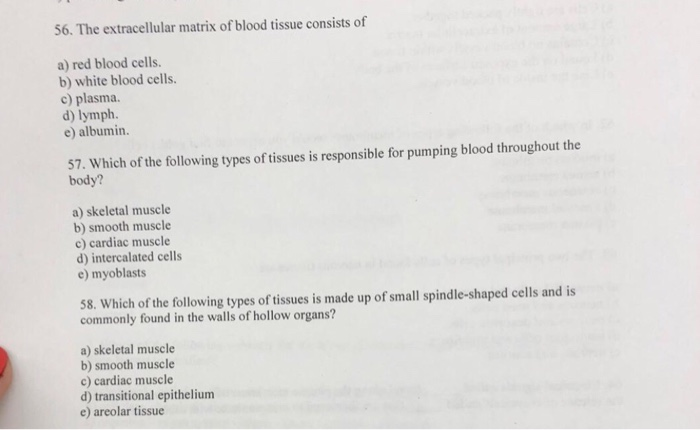 Solved 56. The extracellular matrix of blood tissue consists | Chegg.com