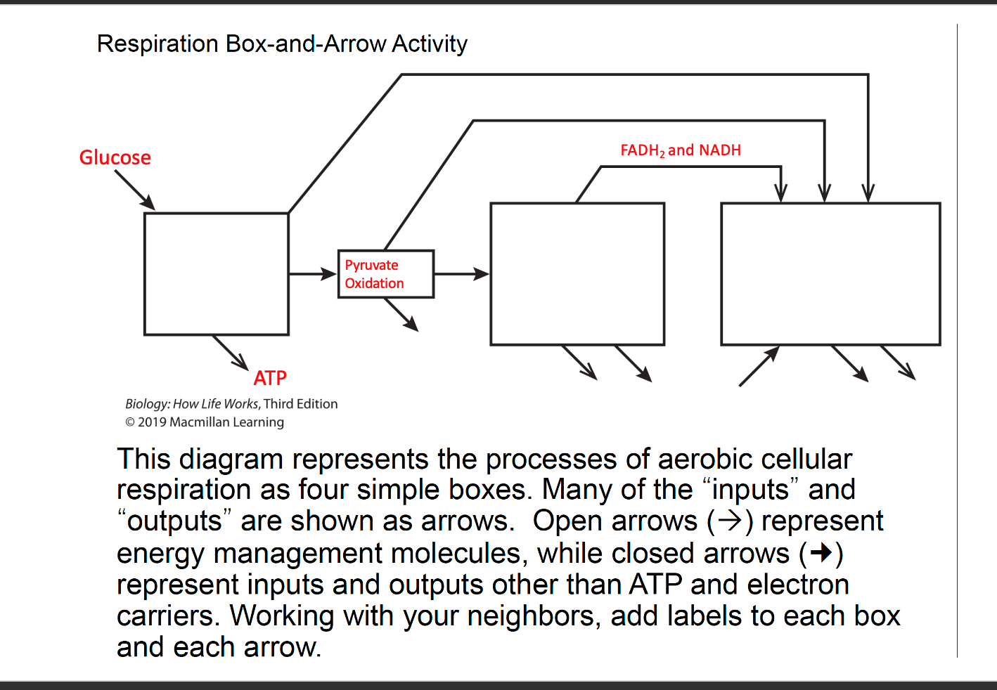 Solved 1. Fill in the box diagrams below (either by copying | Chegg.com