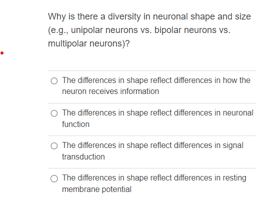 Solved Why is there a diversity in neuronal shape and size | Chegg.com