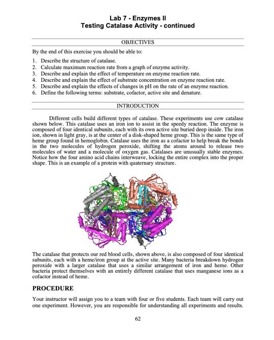 Lab 7 - Enzymes II Testing Catalase Activity - | Chegg.com