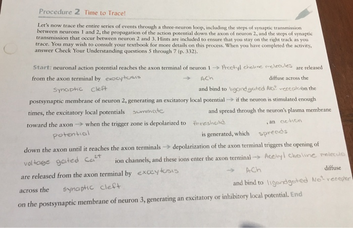 Solved please help. is procedure 2 correct? also Need help | Chegg.com