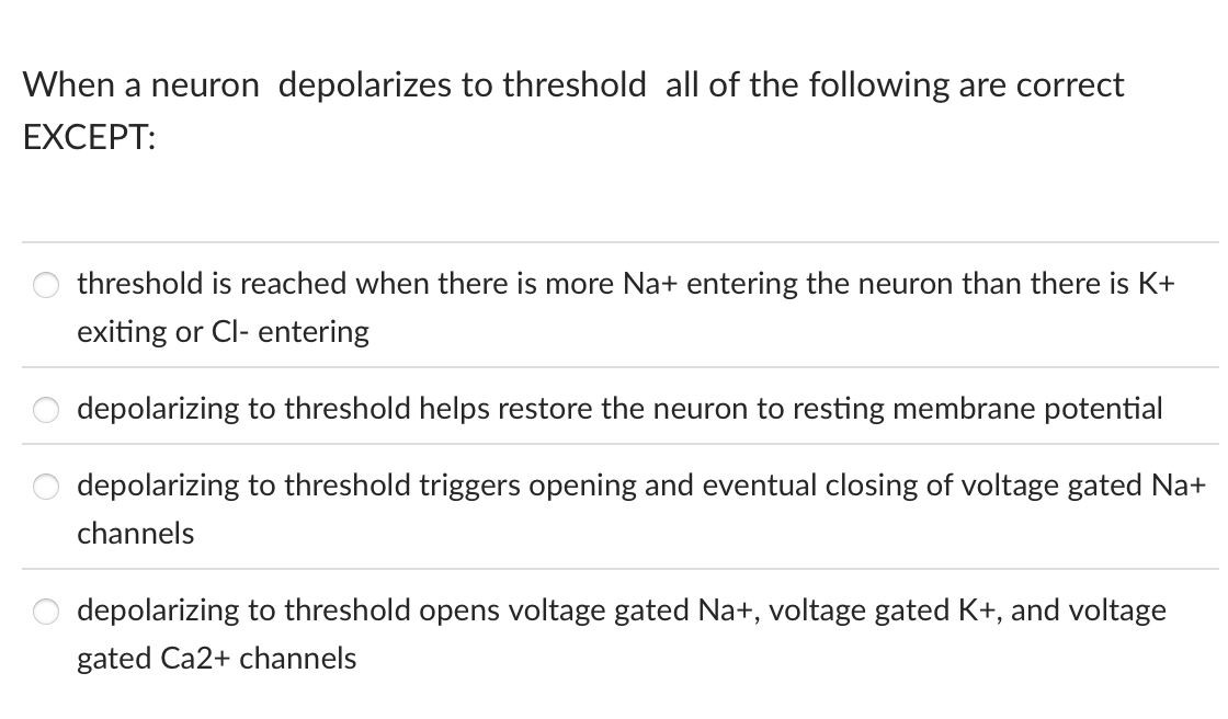 Solved When a neuron depolarizes to threshold all of the | Chegg.com