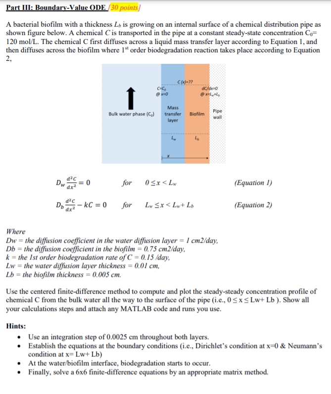 Part III: Boundary-Value ODE/30 points A bacterial | Chegg.com