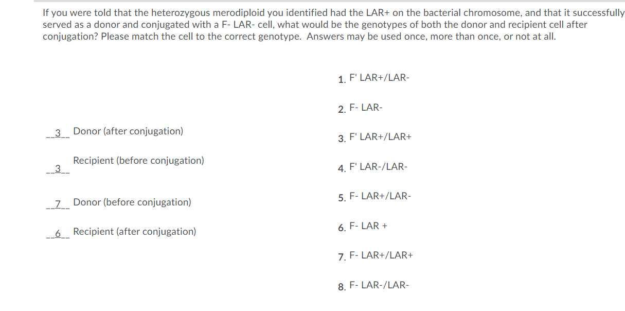 Solved If you were told that the heterozygous merodiploid | Chegg.com