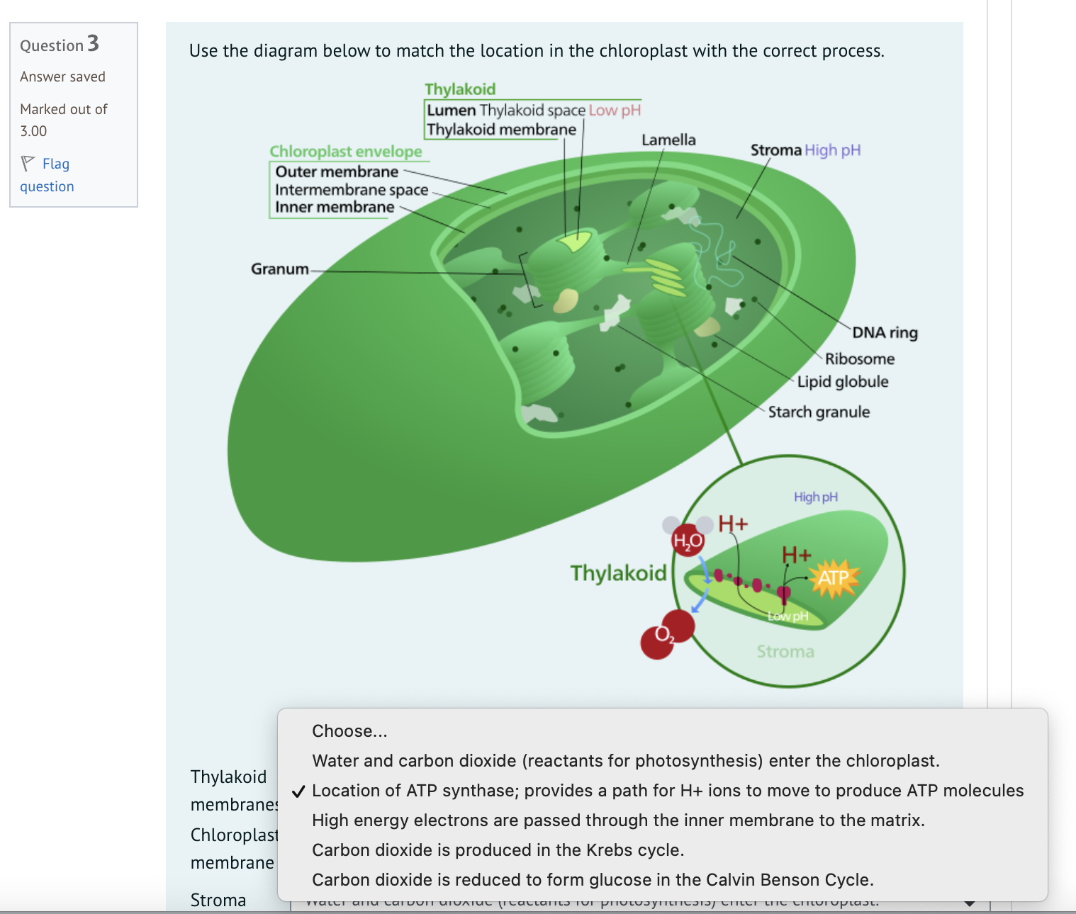 Solved Use the diagram below to match the location in the | Chegg.com