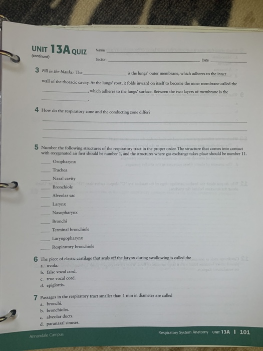 UNIT Name 13A Section Date QUIZ- 1 Label Figure | Chegg.com