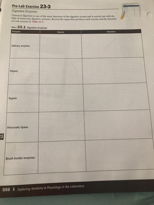 Solved Pre-Lab Exercise 23-3 Digestive Enzymes Chemical | Chegg.com