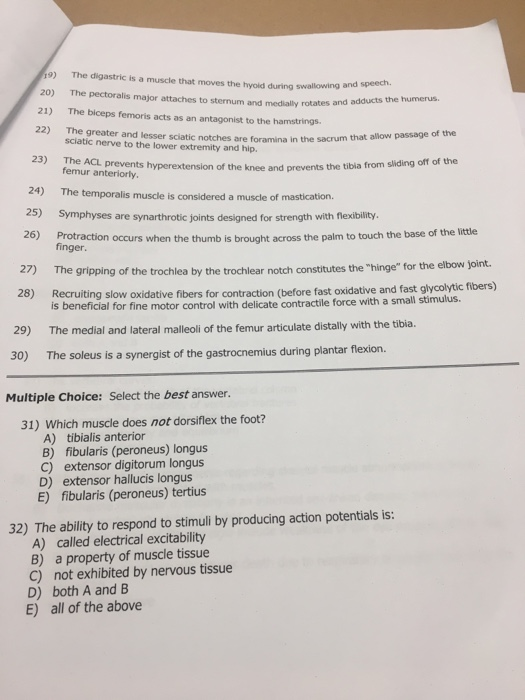 Solved 19) The digastric is a muscle that moves the hyoid | Chegg.com