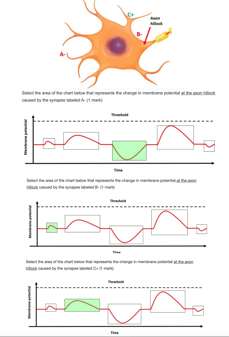 Solved Questions 4-6 refer to the image below/ The image | Chegg.com