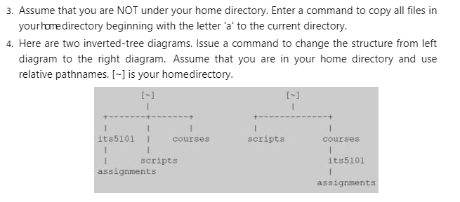 Solved Assume that you are NOT under your home directory. | Chegg.com
