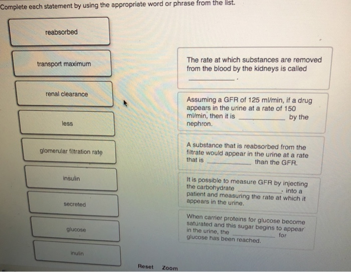 Solved Complete each statement by using the appropriate word | Chegg.com