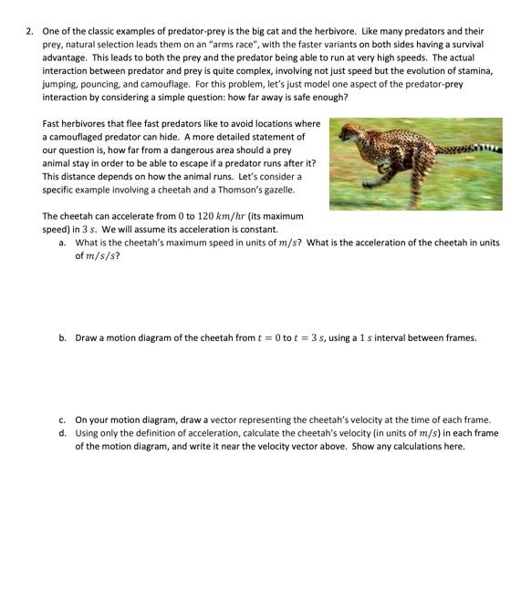 Predator And Prey Worksheets