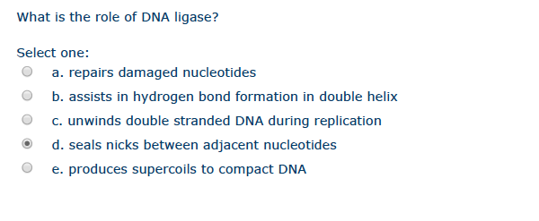 Solved ACC For this diagram to the left, the loop numbers | Chegg.com