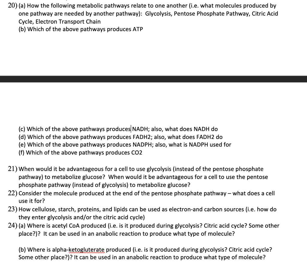 Solved 20) (a) How the following metabolic pathways relate | Chegg.com