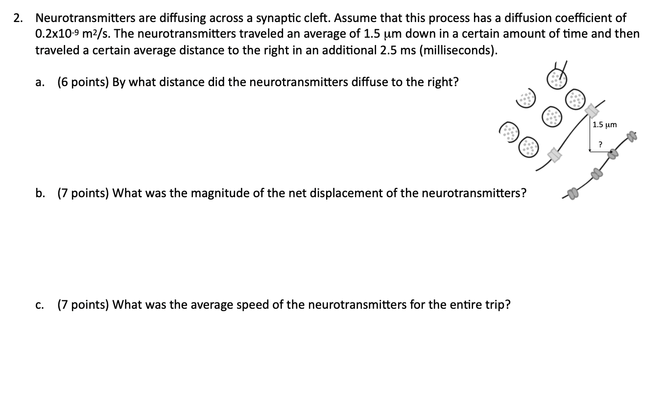 Solved 2. Neurotransmitters are diffusing across a synaptic | Chegg.com
