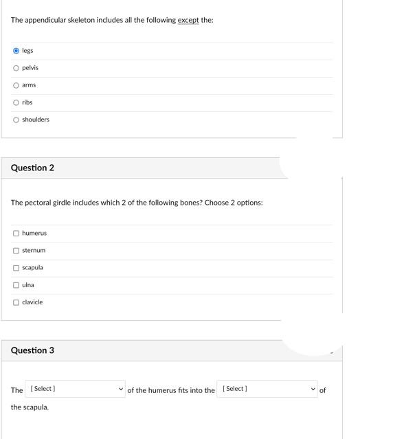 Solved The appendicular skeleton includes all the following | Chegg.com
